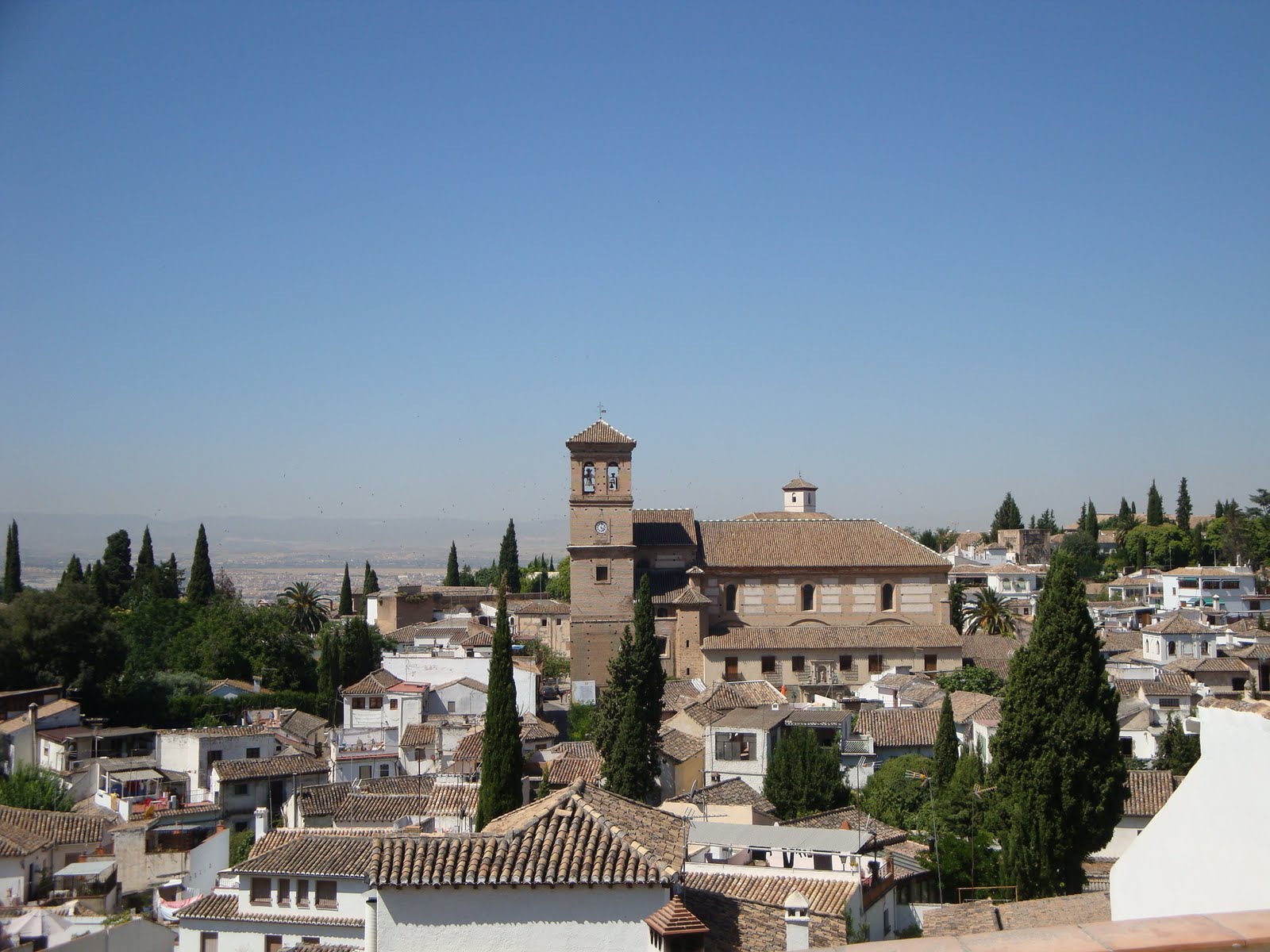 Sobreviviendo: Cruz de la Rauda