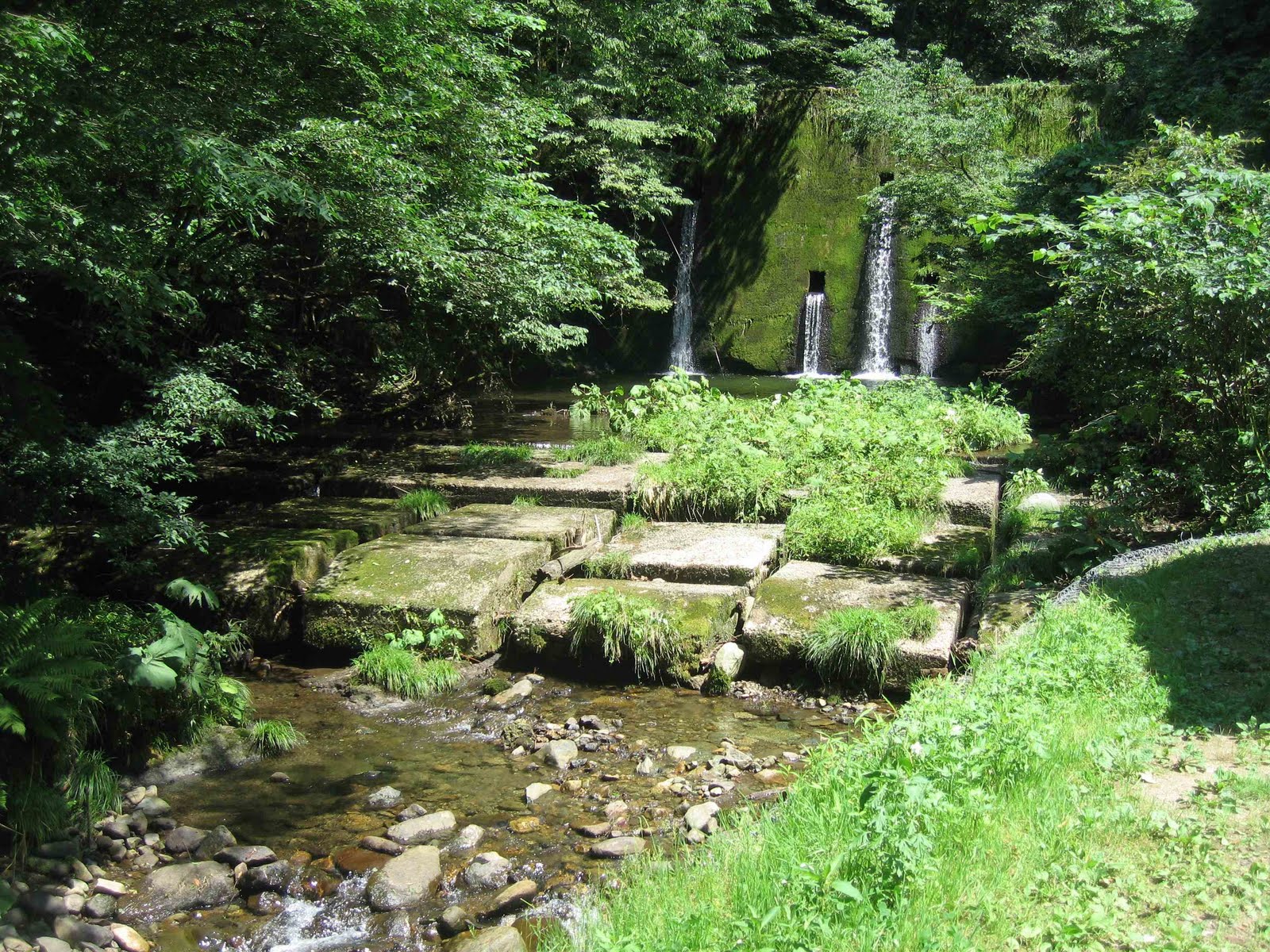 The World Tastes Good: First post from Akita