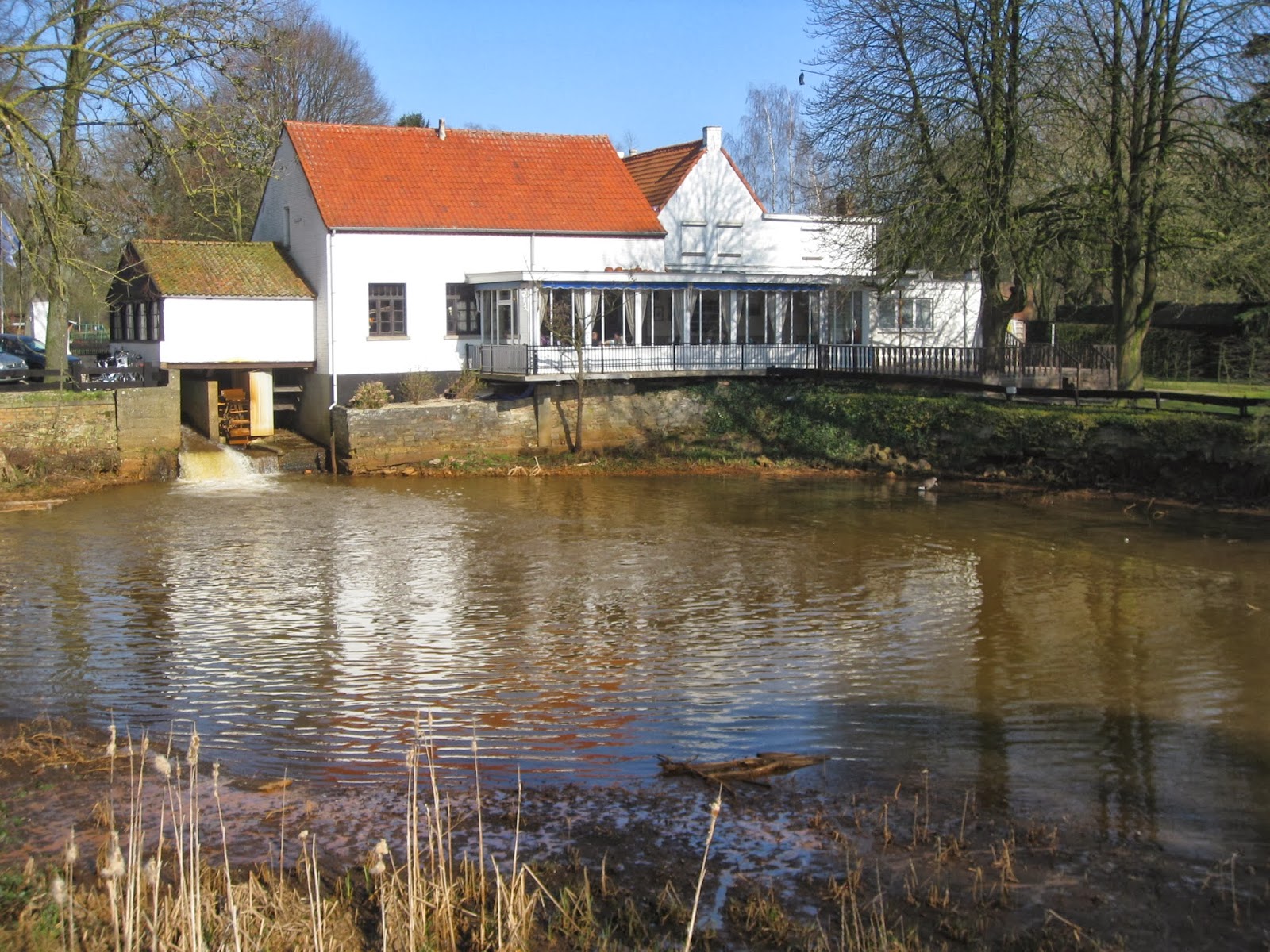 TOUR DE FRANS: Kasterlee in geuren & kleuren