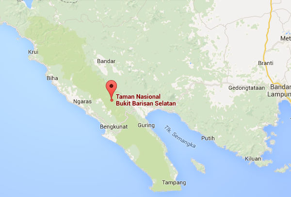 19+ Peta Kabupaten Yahukimo Images