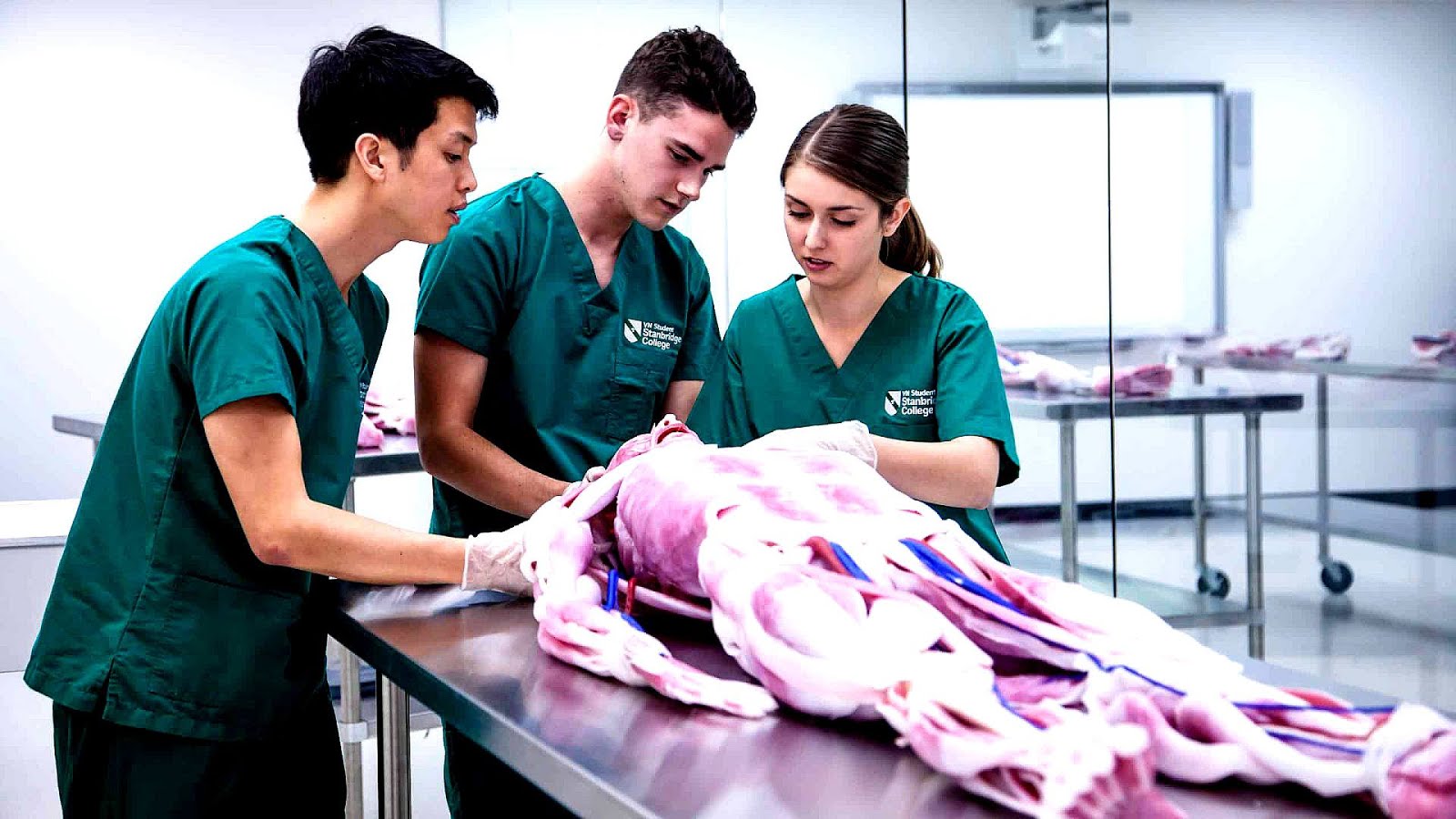 Trade Schools For Nursing In California - Trade Choices