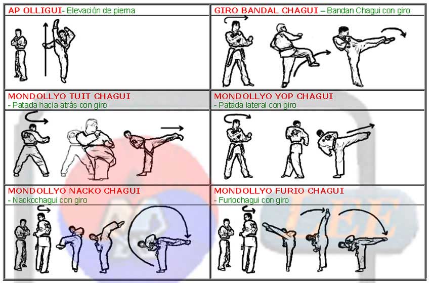 Taekwondo Fans (blogspot): Nombre de las patadas