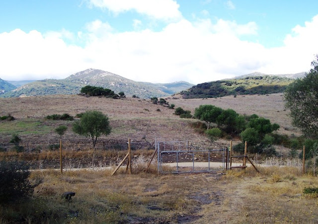 Manuel Cabello y Esperanza Izquierdo: "El blog de Ocurris". "Ubrique en ...
