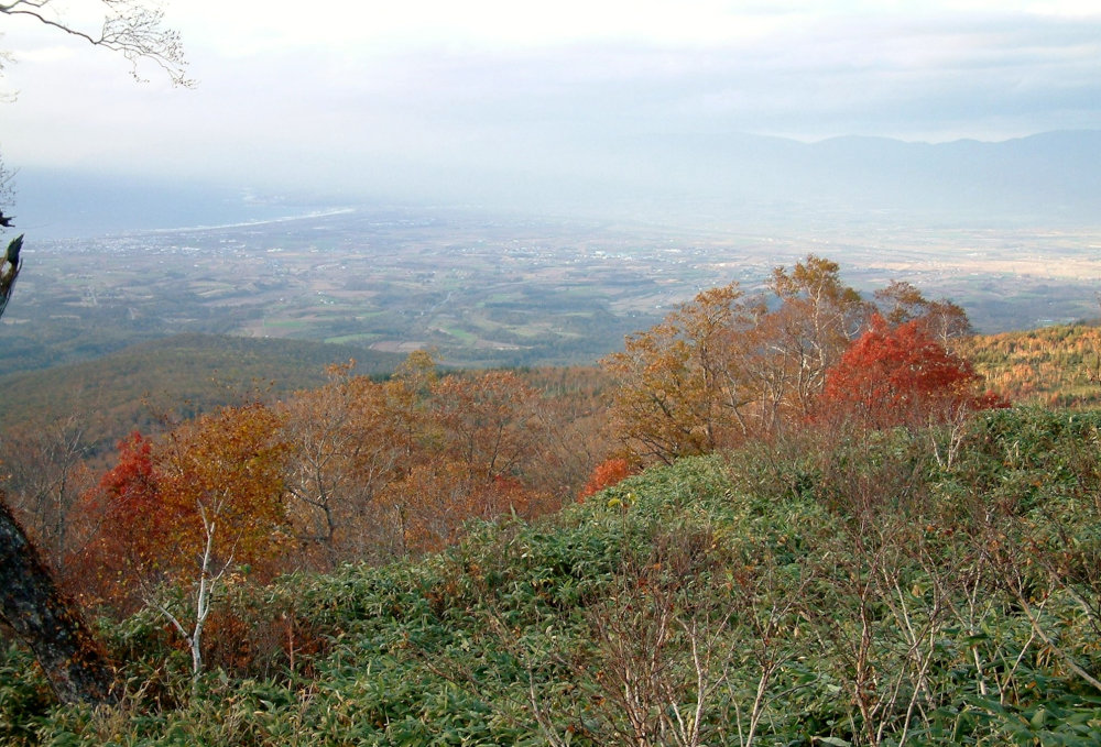 SHOTs rambling Japan: Shinsen-numa Marsh in Niseko (Hokkaido)