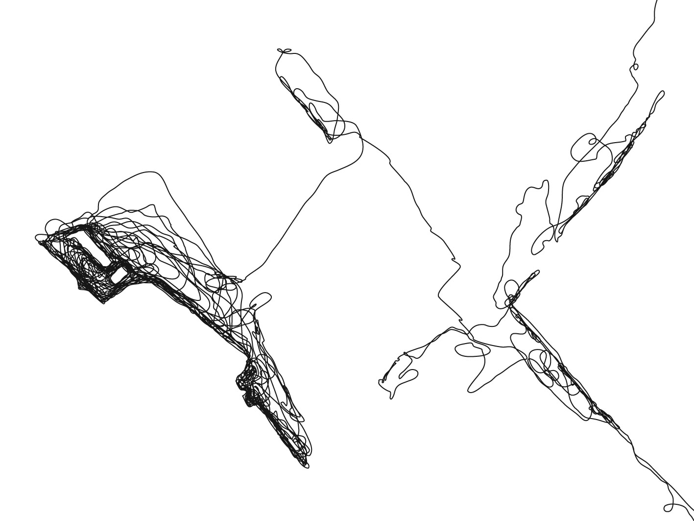Tim Knowles_dibujo expandido, performático, naturaleza...