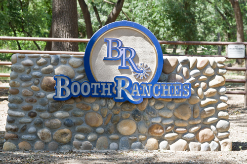 Welcome to the Pacific Coast Journal Blog: Rookie Day - Hosted by Loren ...