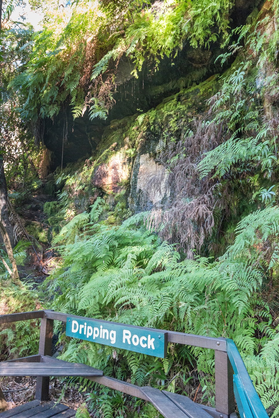 National Park Odyssey: Cania Gorge National Park, Monto QLD.