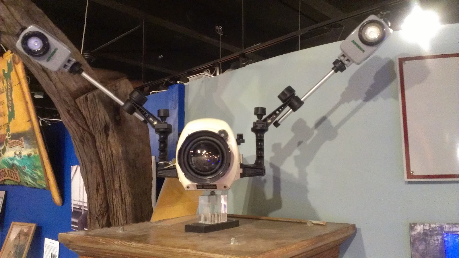Dive into History: The History of Diving Museum Collections Blog ...