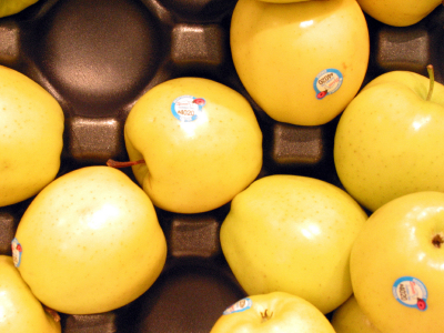 StickerFly! CSM Buzz Page: Stuff We Like: Fresh Fruit Stickers