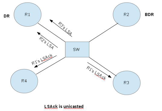 Cường: OSPF Desginated and Backup Designated Router