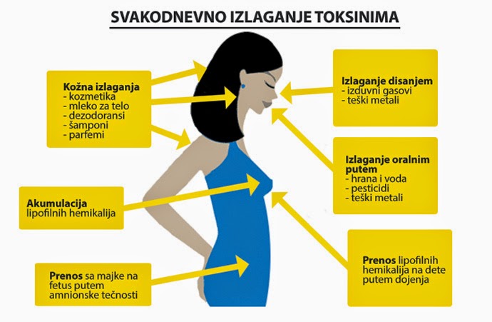 EHO-ZAPPER : ZAGADJIVAČI - TOKSINI