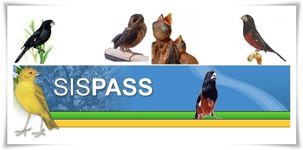 CURIOZEIROS: Atualizado o Site do SisPass.