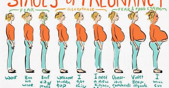 Pregnancy Step by Step | Pregnancy Step | Baby Pregnant