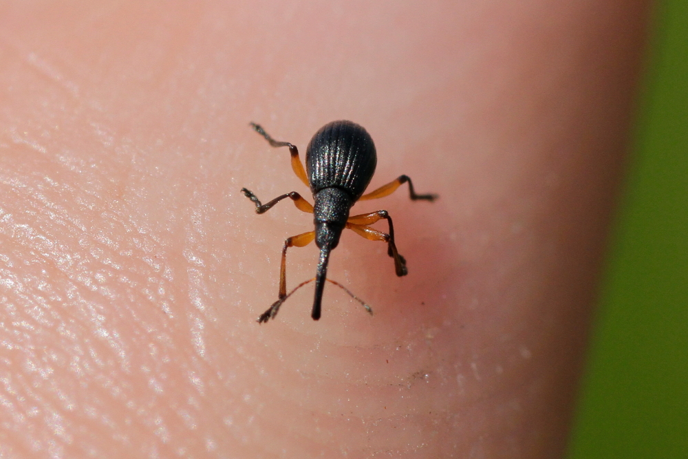 Dermot Breen's Blog: July 2013