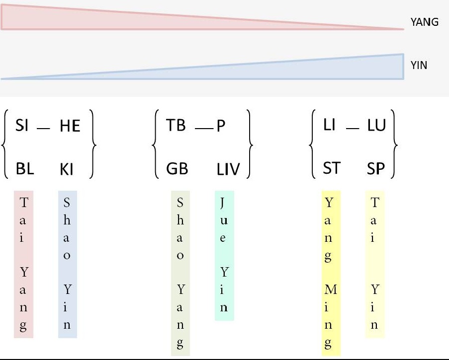 Maciocia Online: THE EXTERIOR, INTERIOR AND PIVOT OF CHANNELS