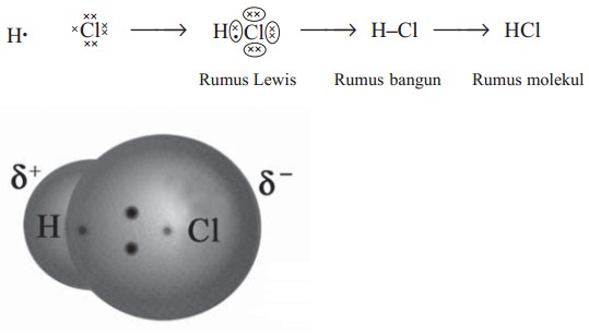 Perbedaan Ikatan Kovalen dengan Kovalen Koordinasi - Rumus Kimia