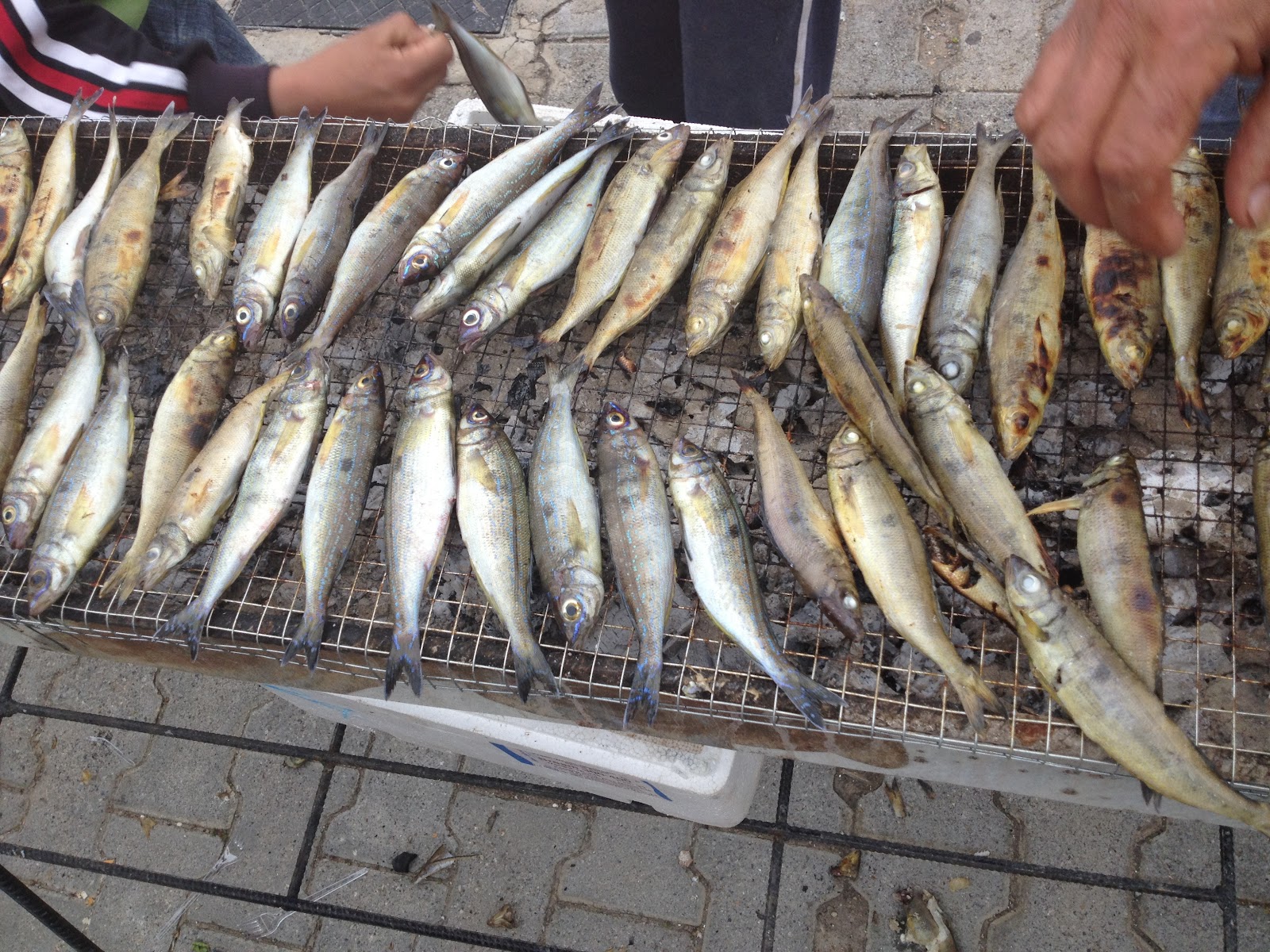 kibrisgunceleri: 4.Geleneksel İzmarit Şenlikleri