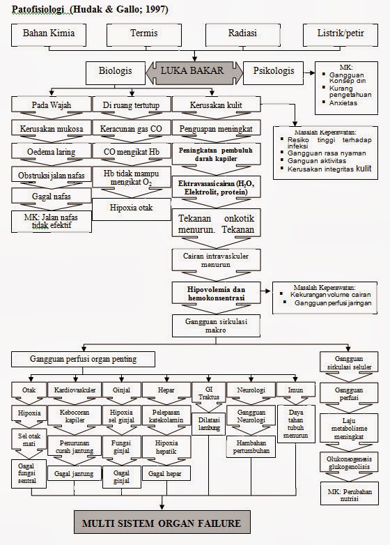 Perawat Profesional: ASUHAN KEPERAWATAN DENGAN GANGGUAN INTEGUMEN LUKA ...