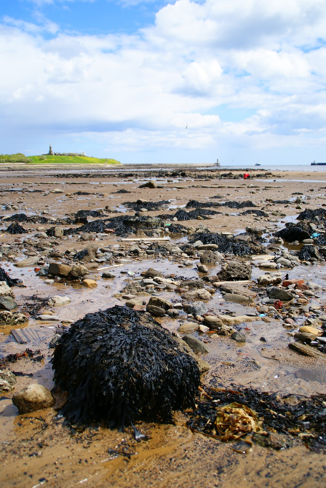 Shab's Cuisine: Meen Porichathu (Crispy Fish Fry) and a Tour around the ...