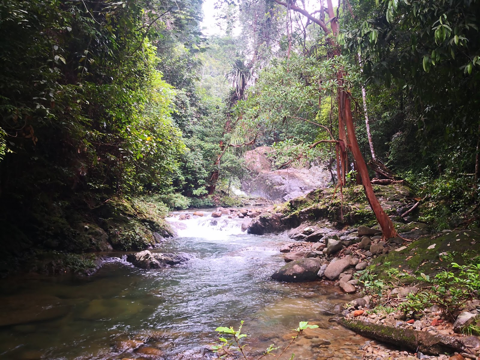 AZLAN RUMADI: HUJUNG MINGGU DI ECO-TOUR JUNGLE TRACKING WATERFALL SEBAT ...
