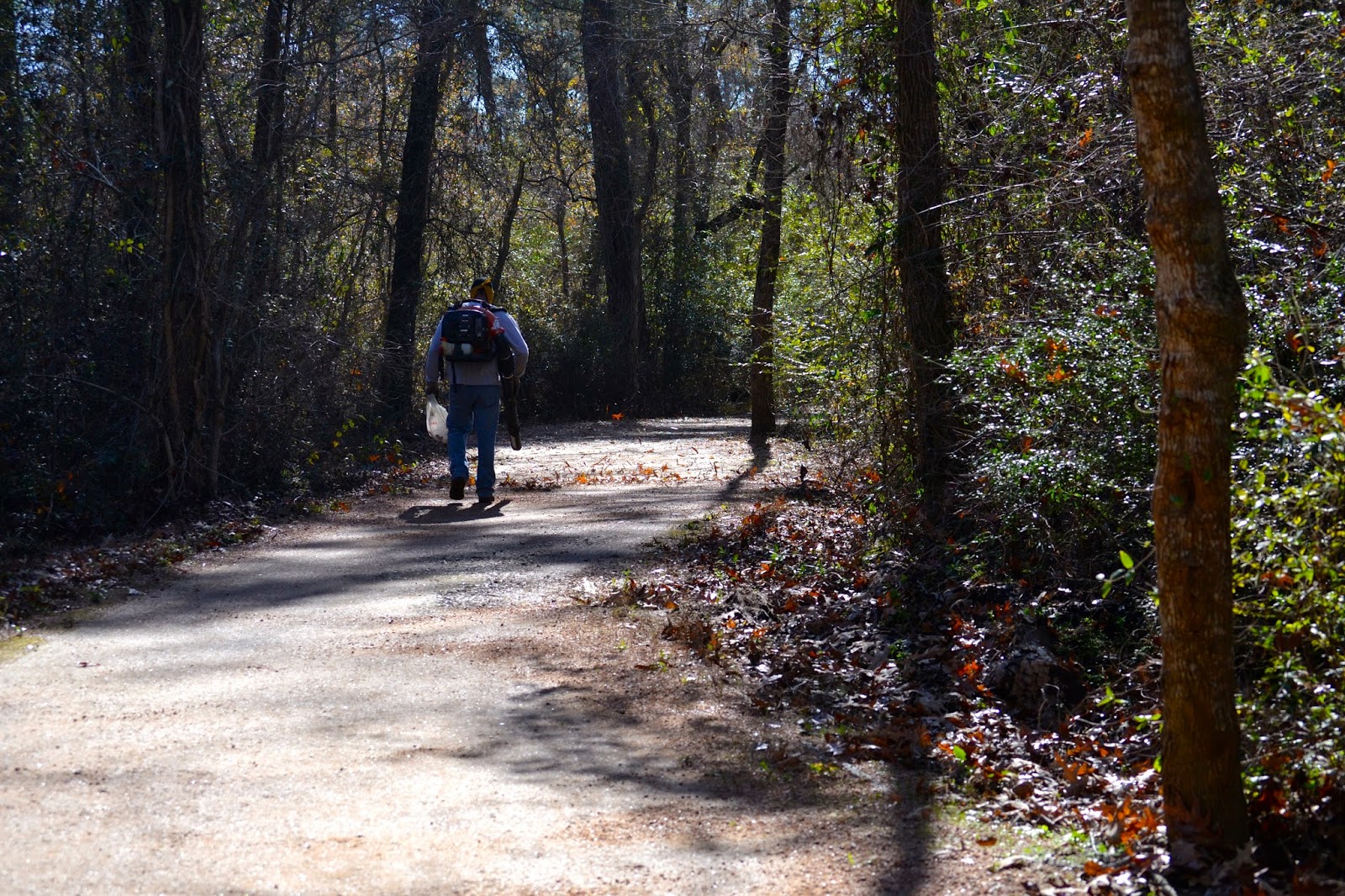 Along Slap Out Gully: The wide, clean trails of Jenkins Park