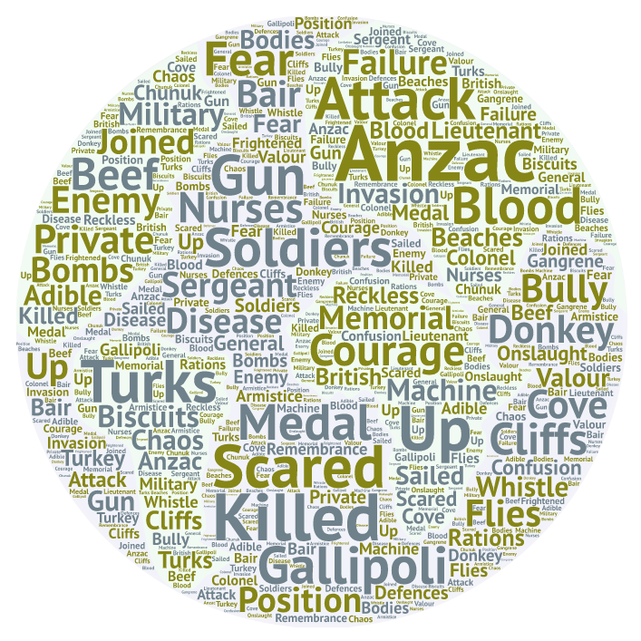 Room 10 Tokoroa Intermediate: Word Clouds using Tagul