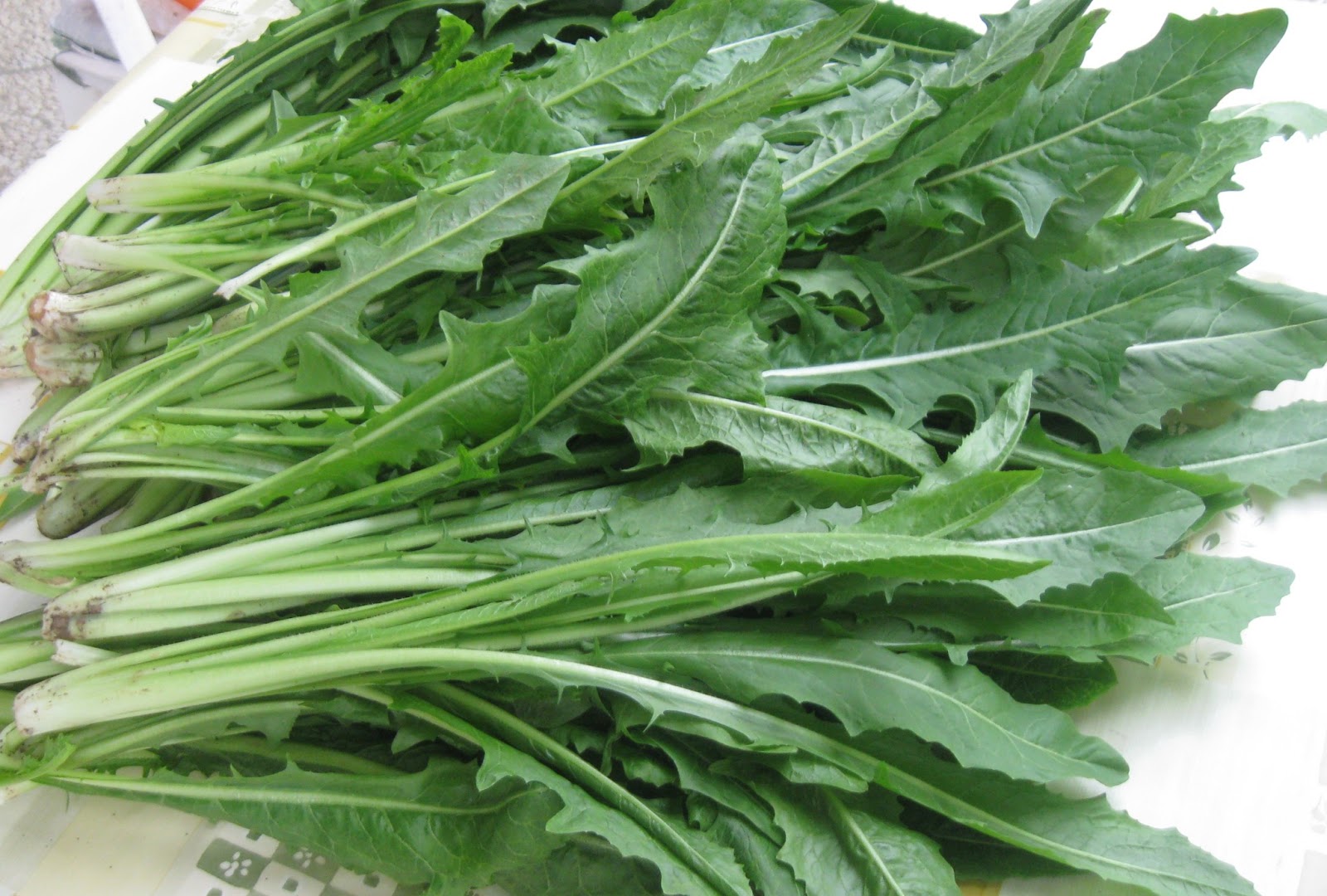 LA GRANJA DE ADRIANA: Arroz con chicoria