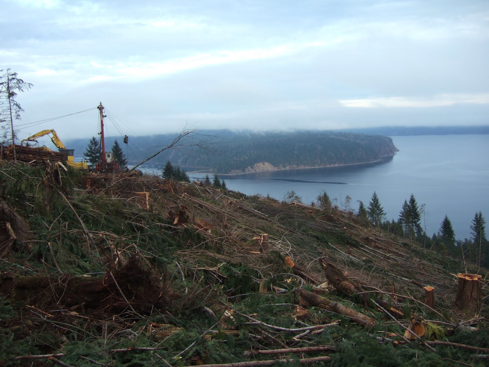 Reading the Washington Landscape: Timber Harvest Above Dabob Bay