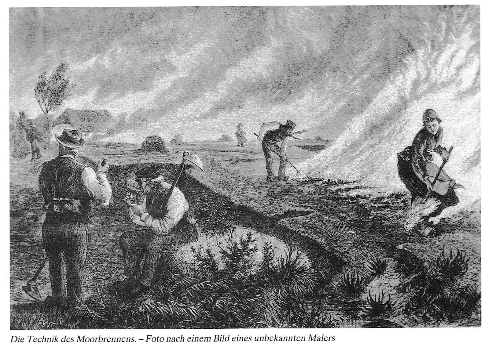 Wiesmoor-info: Das Moor