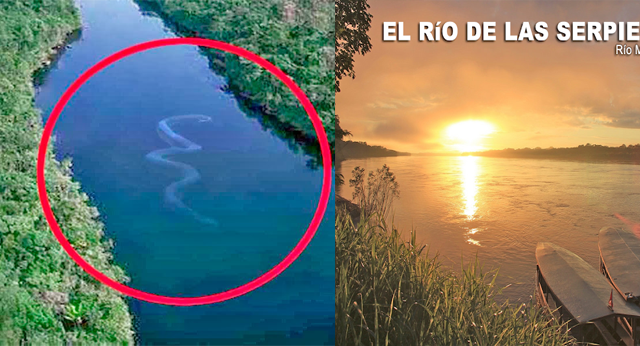 Esto es Escalofriante. El Río de las Serpientes. Intenta no Tener ...