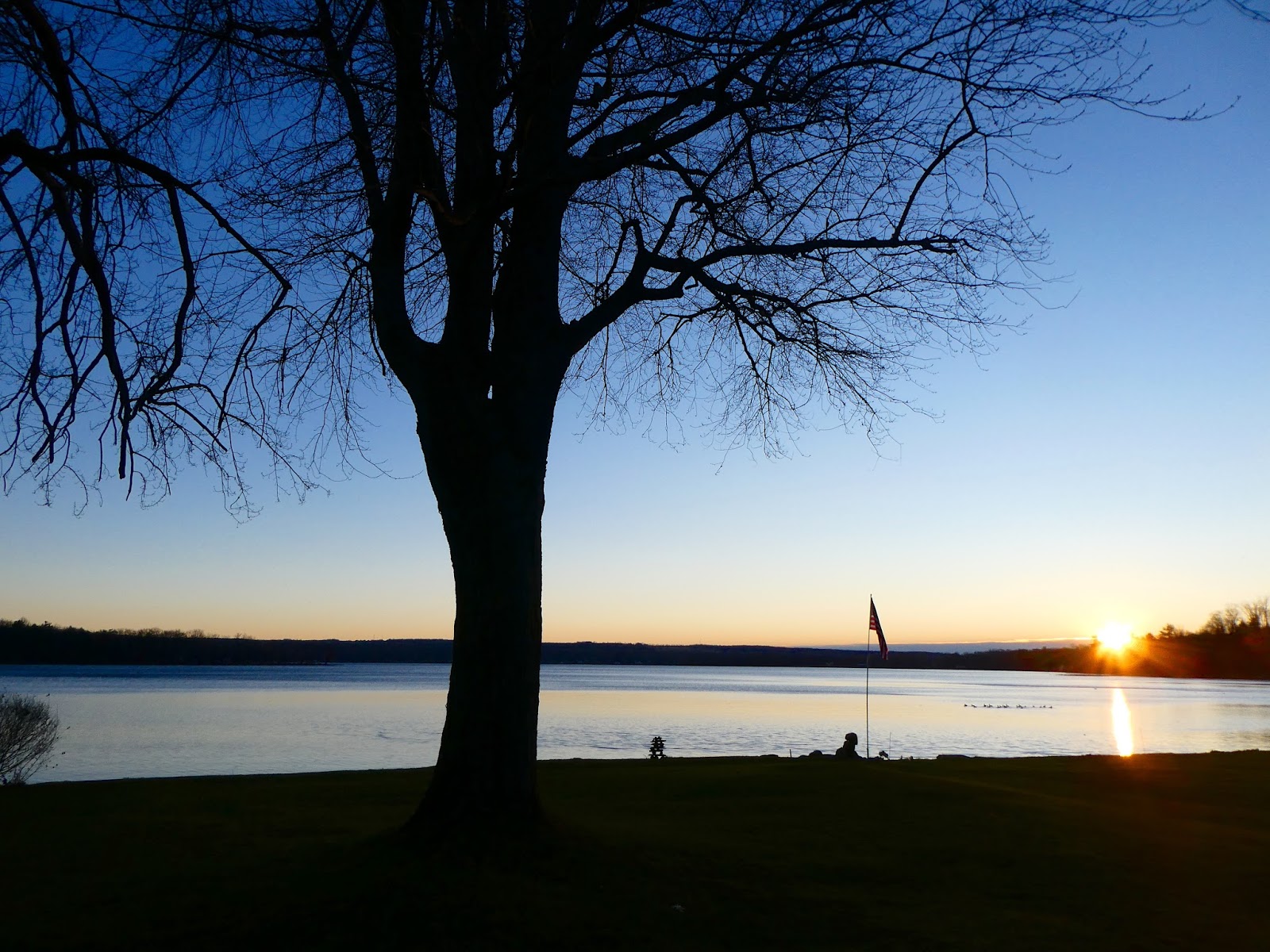 Bright Sunny Morning