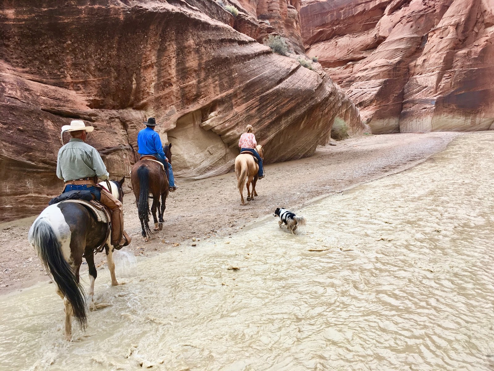 Camping and Horses : PARIA RIVER RANCH SOUTHERN UTAH