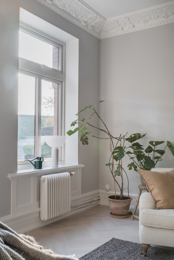 découvrir l'endroit du décor : DÉLICATES MOULURES