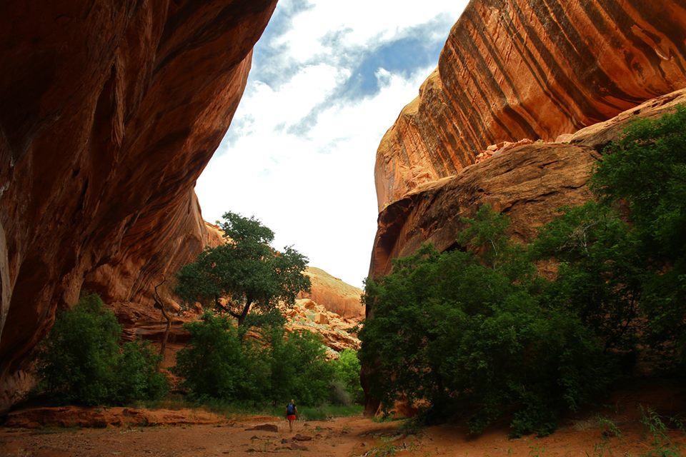 Red Rock Adventures: Golden Cathedral in Neon Canyon