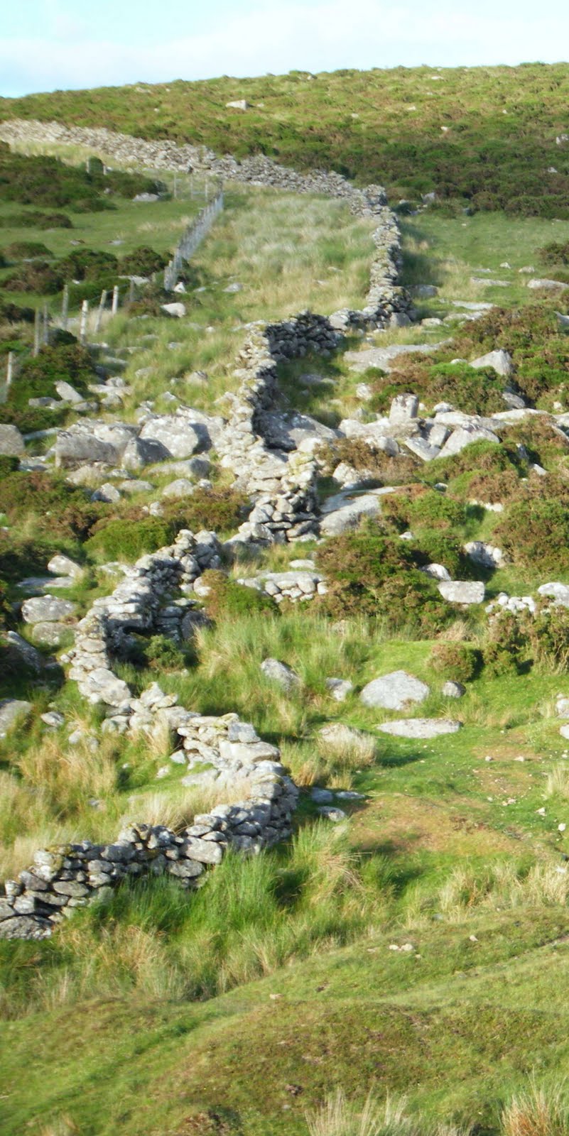 My Dartmoor Walks: Wednesday 8th June Hexworthy
