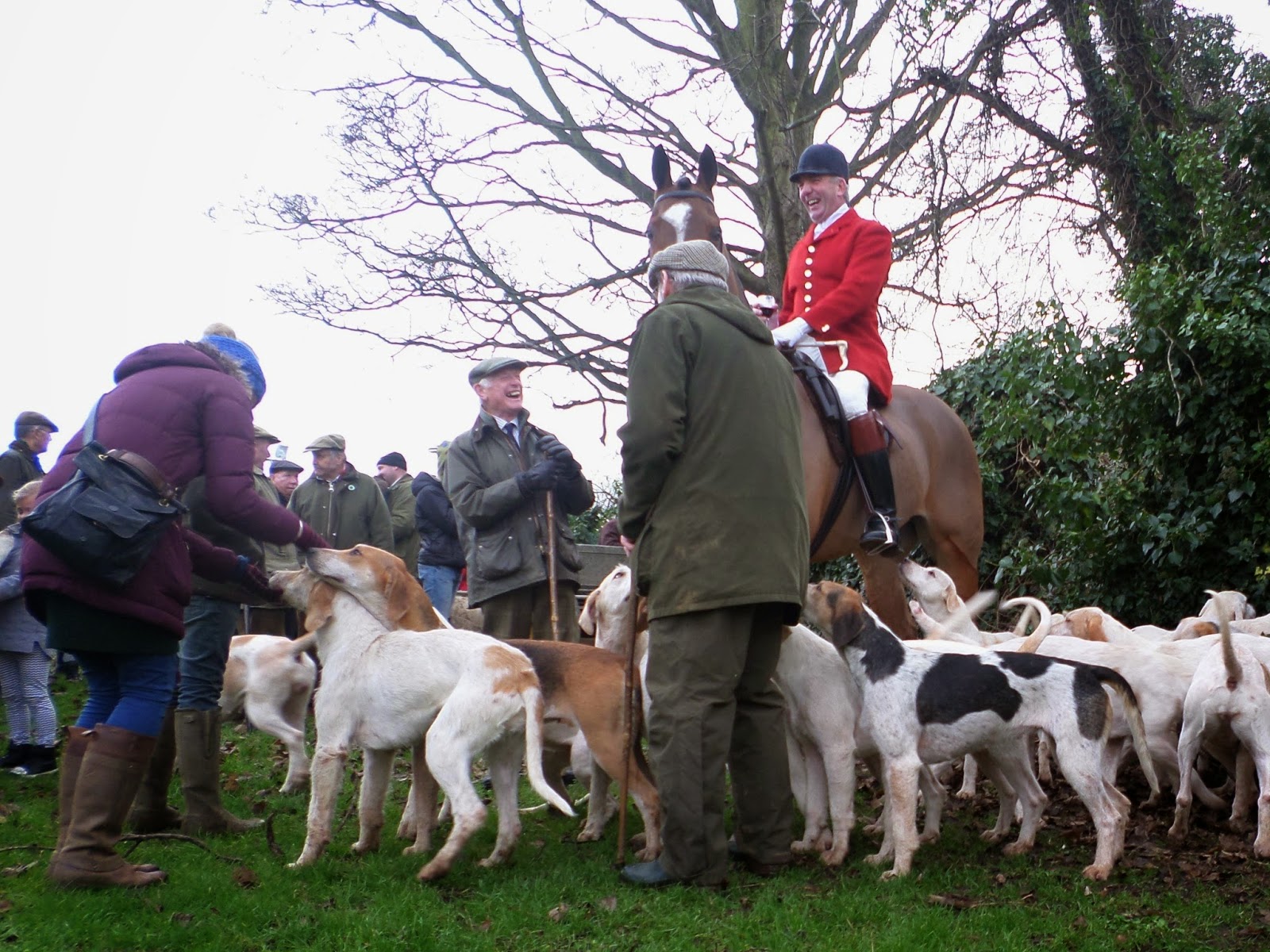 Martin Brookes Oakham: The Cottesmore Hunt Oakham Rutland Cutts Close ...