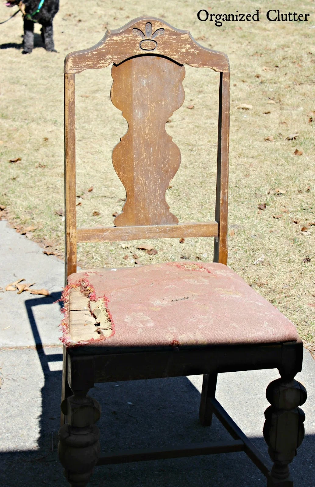 Re-Purposed Chair Back Photo Holder - Organized Clutter