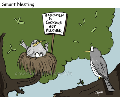 Green Humour: Smart Nesting!