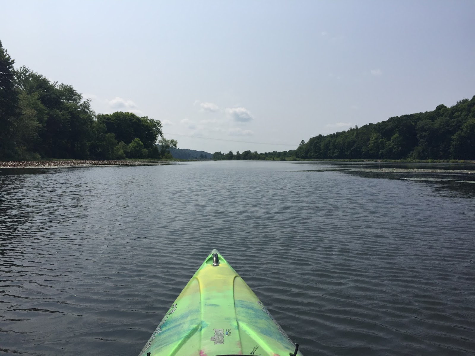 Kayaking Across Ohio: Lake Rupert: Damselflies' Playground