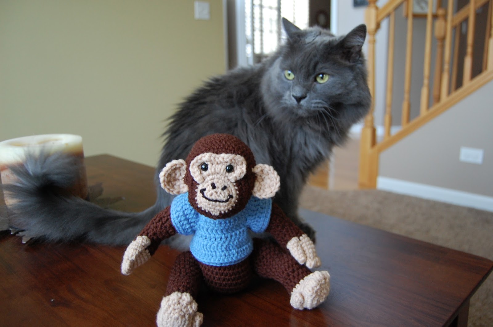 Roonie Ranching: Toby's Chimp (with an assist from Bobo Cat)