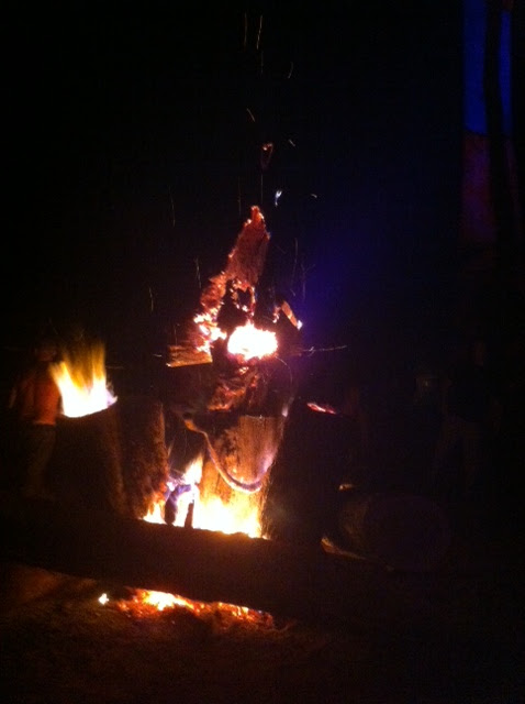 PRIMAL MOVES: 08/29/12