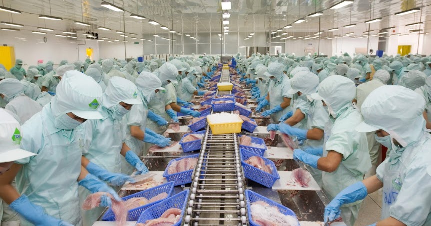 Sardine Production Line Packing Methods - Sardine Fish Indonesia ...