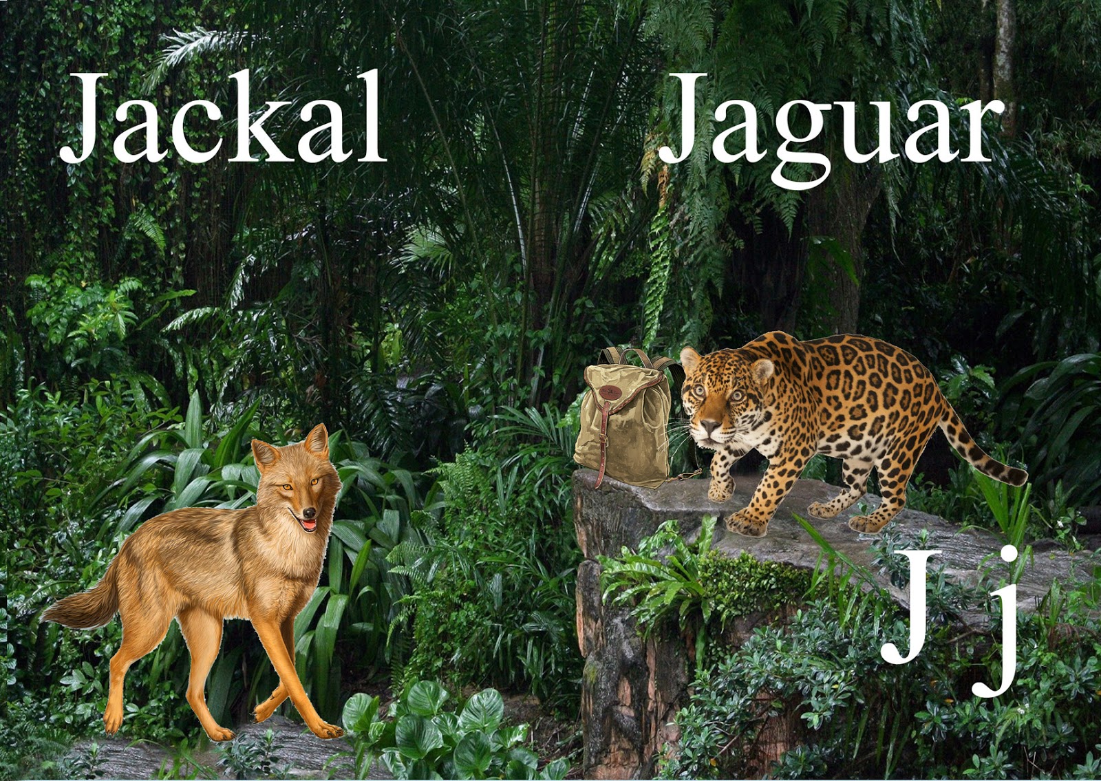 NixPages: THE JACKAL AND THE JAGUAR