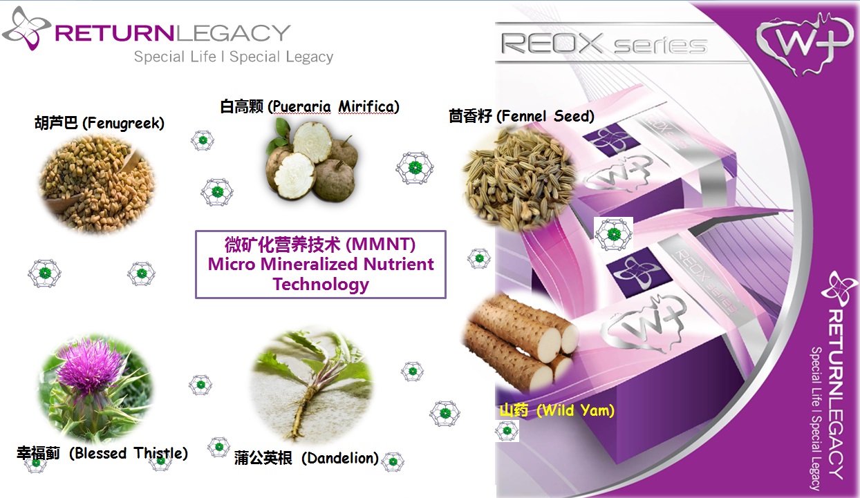 Return Legacy - Reox H+, W+, Redoxy, Medigold, 2 Hydro Activator: W+ ...