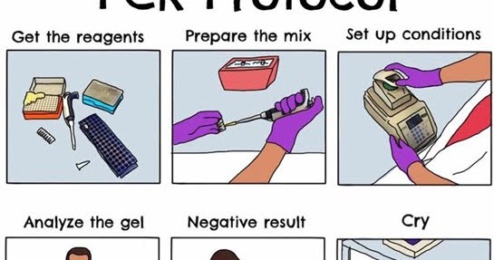 Today Science Humor 10 : PCR Protocol
