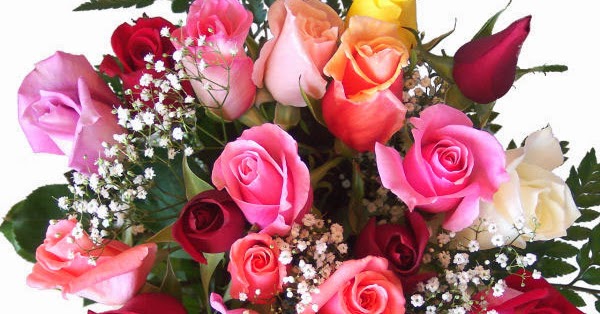 Florarie Turda | Florarie Non Stop