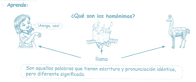 Homónimos 3° Grado Primaria | Razonamiento Verbal