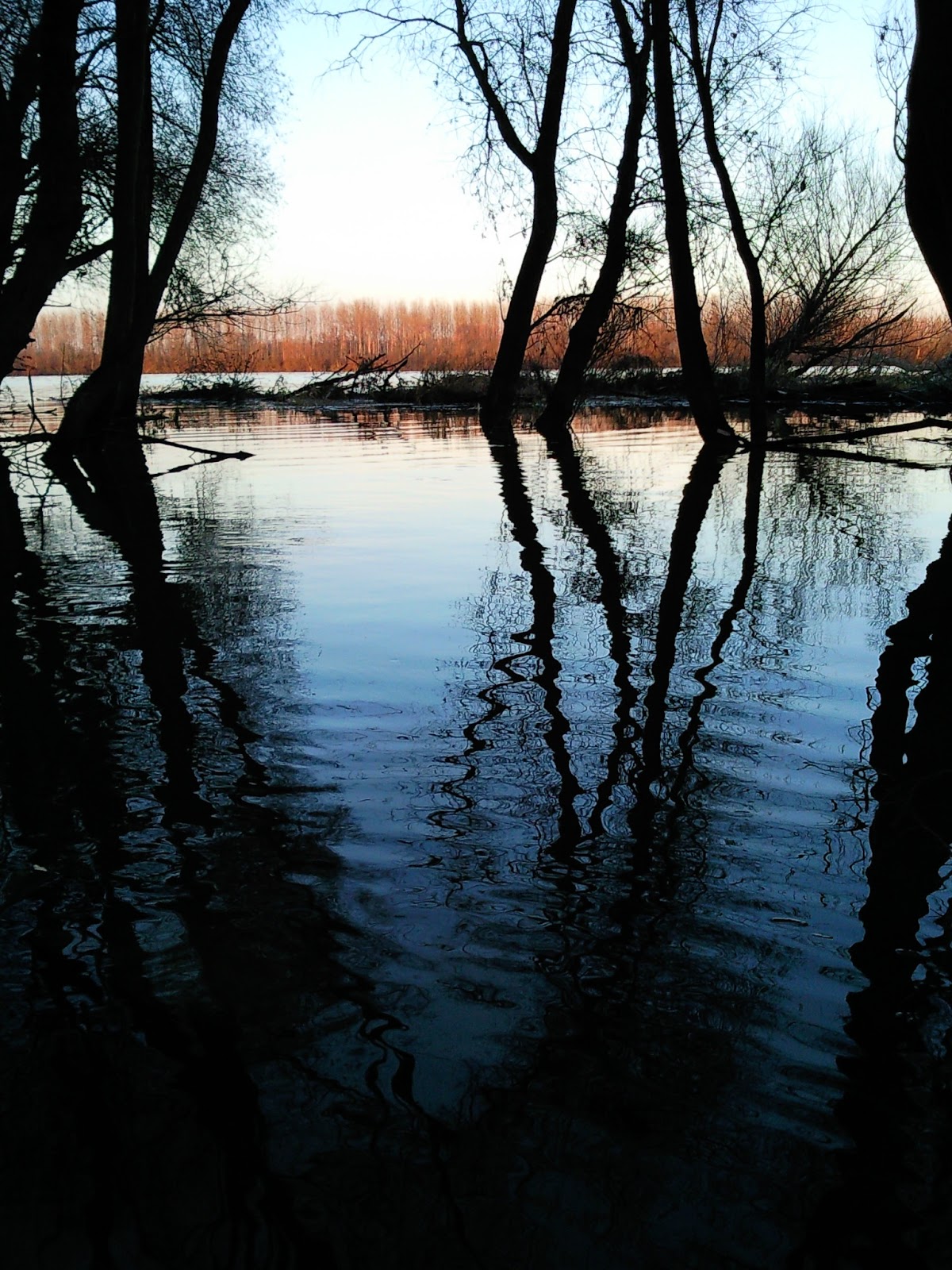 DP / DUNAI PECÁS HORGÁSZ BLOGJA: Képek