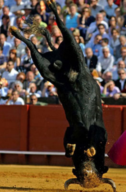 GRUPO DEPRIMERA.COM: 8/05/11 - 15/05/11