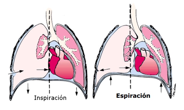 Todo sobre enfermería y medicina: Neumotórax Abierto